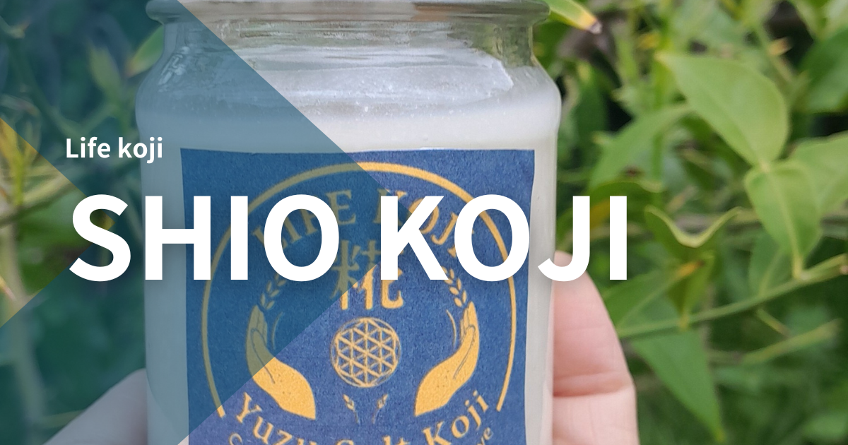 Unlock Umami: The Magic of Shio Koji - Life Koji Australia | Small Koji ...